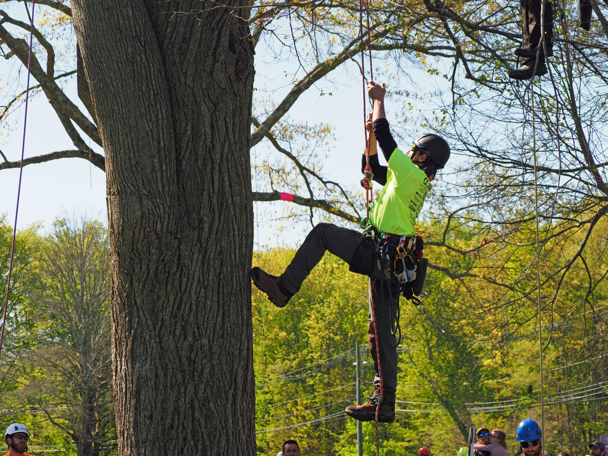 2024 CT Climbing Competition - Seaside Park, Bridgeport - CTPA ...