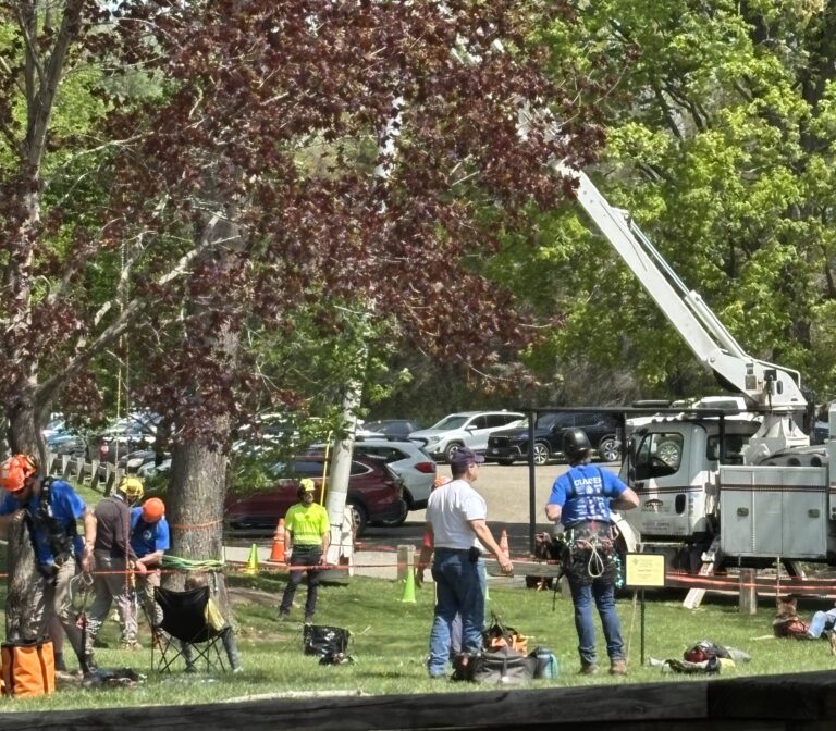 Results of the 2025 CT Climbing Competition, Hollow Park, Woodbury ...